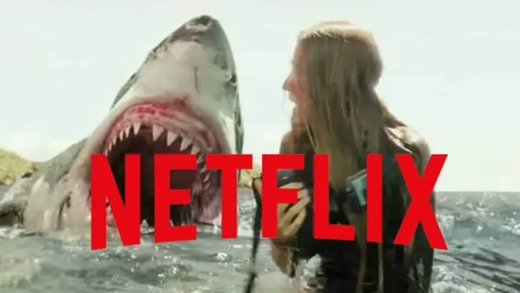 11 Shark Movies On Netflix (Our Picks) - BuddyTV