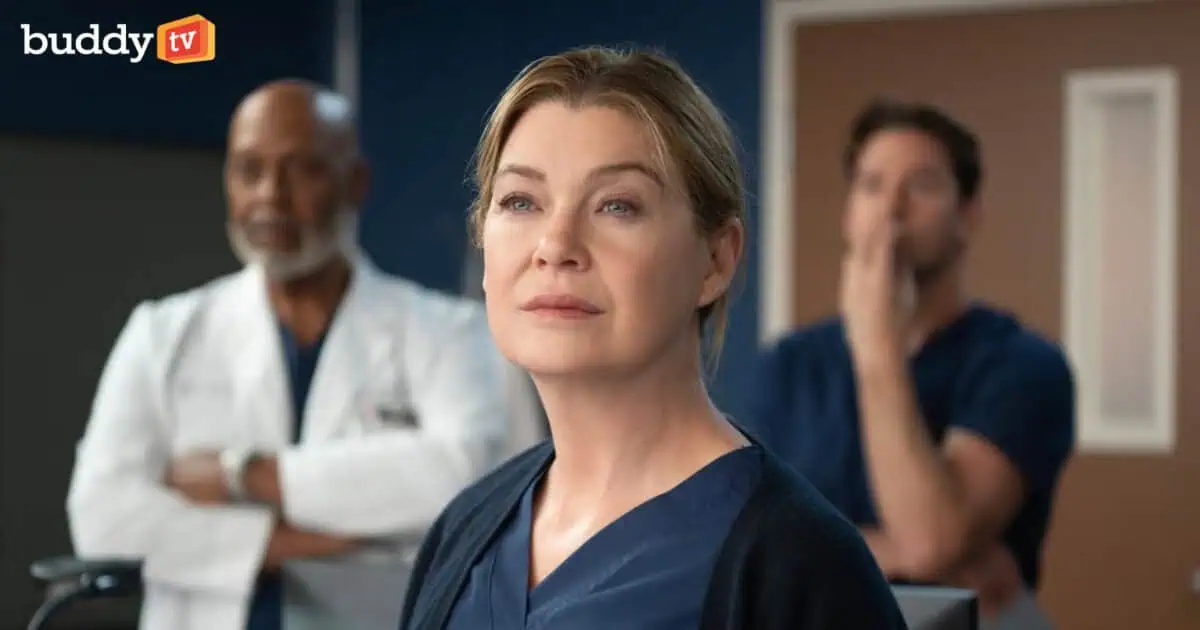Grey's Anatomy Season 22 Finale Sets Huge Exits - BuddyTV